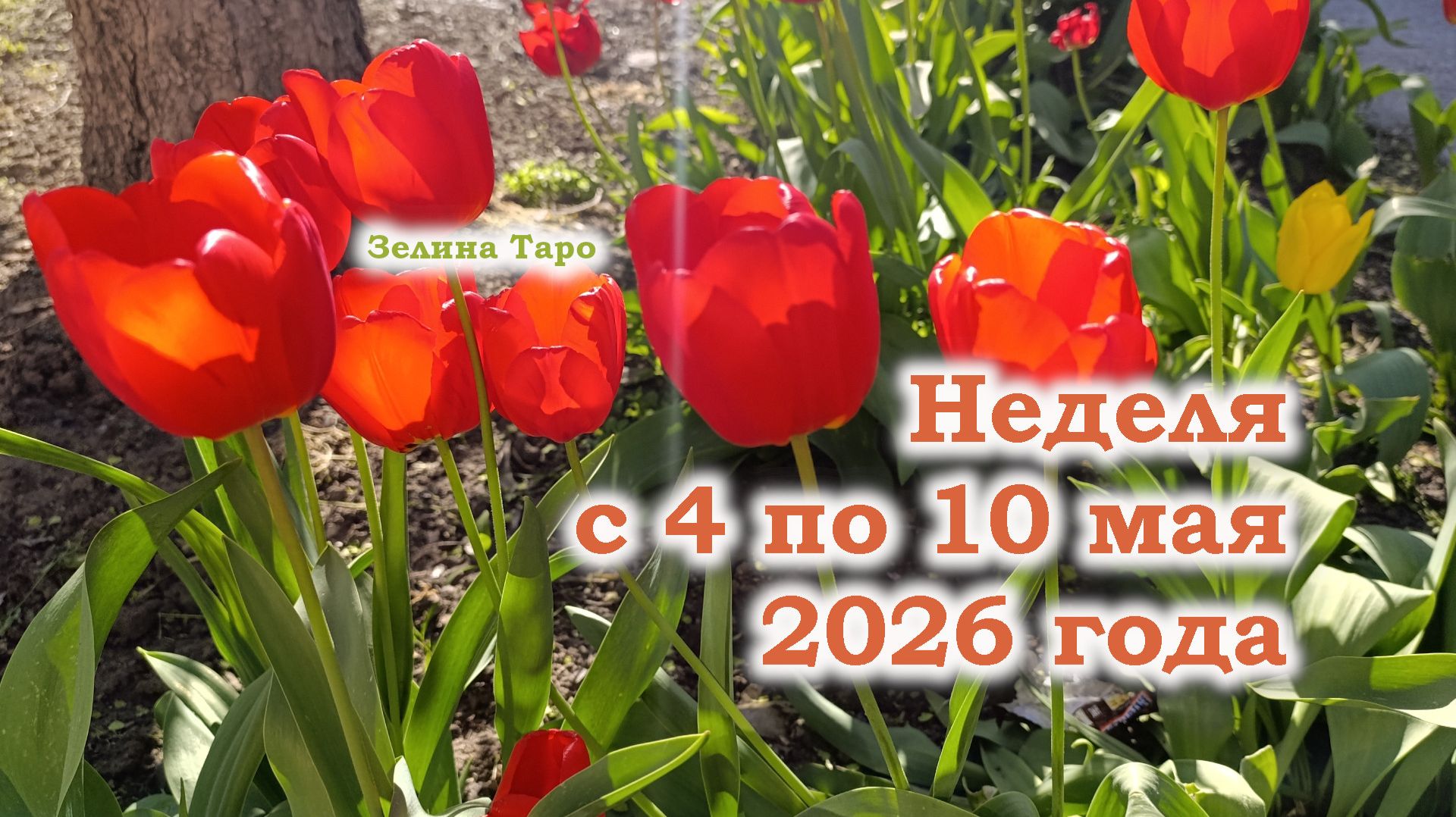 Неделя с 4 по 10 мая 2026 года