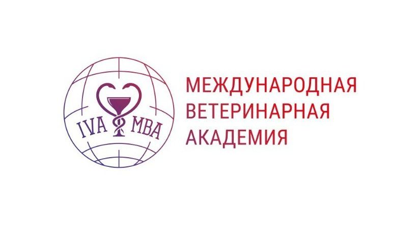 БЖД. ВВМ-11, ВВМ-12. 2025-2026 год.