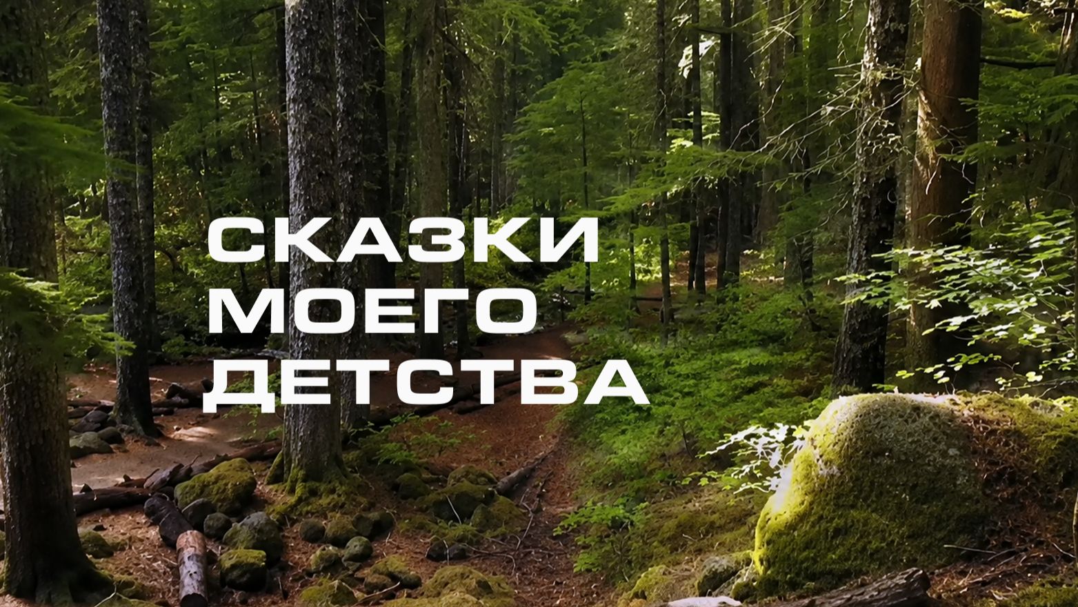Проект «Сказки моего детства»