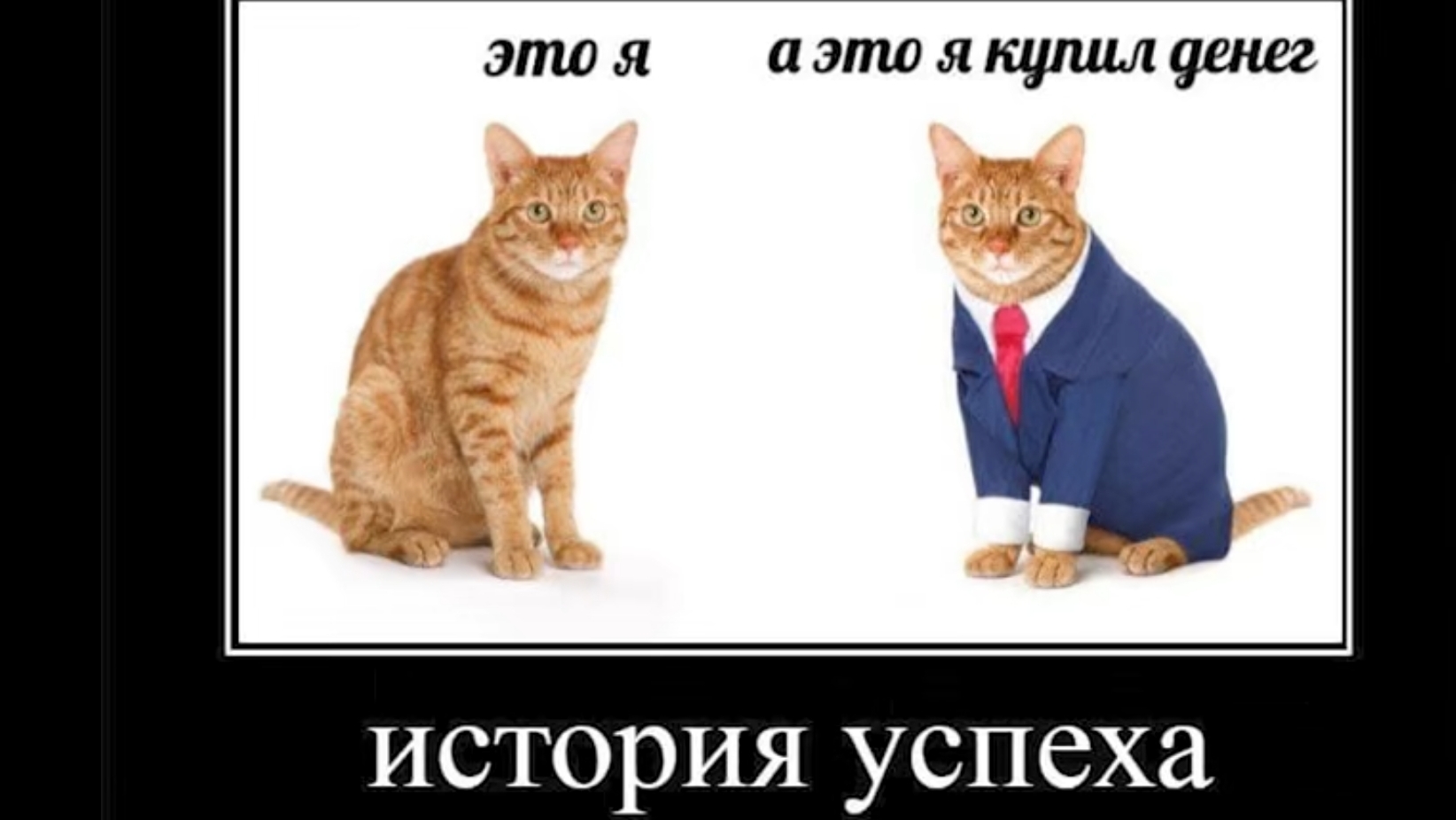 стандофф сборник видео