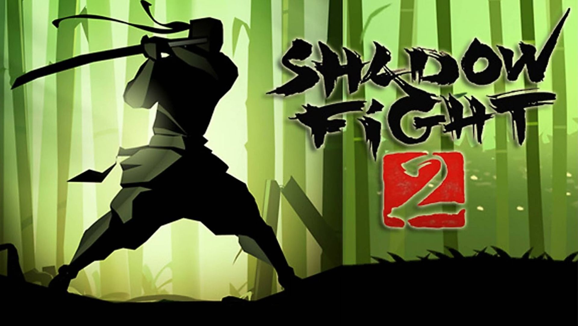 Shadow fight