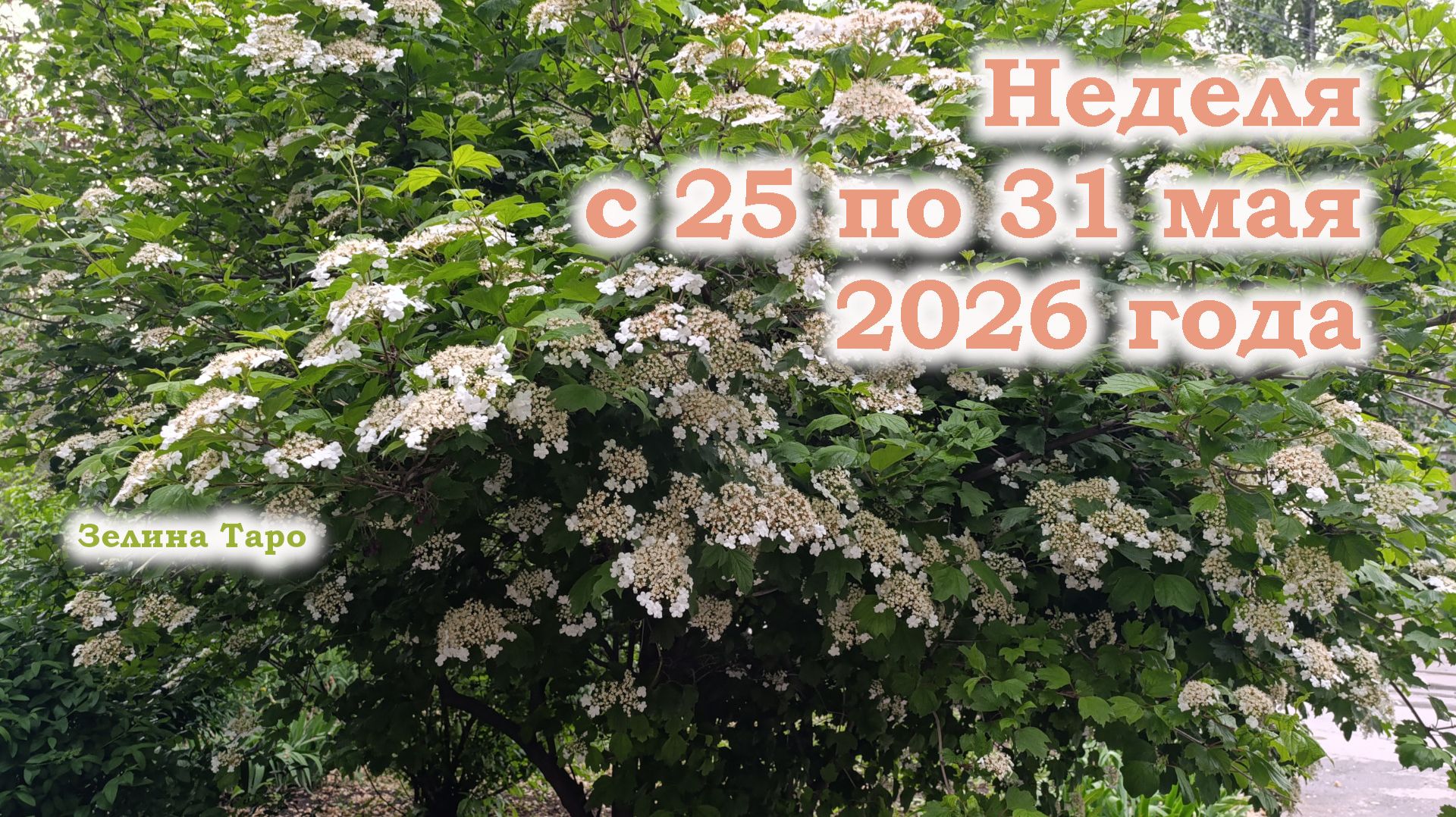 Неделя с 25 по 31 мая 2026 года