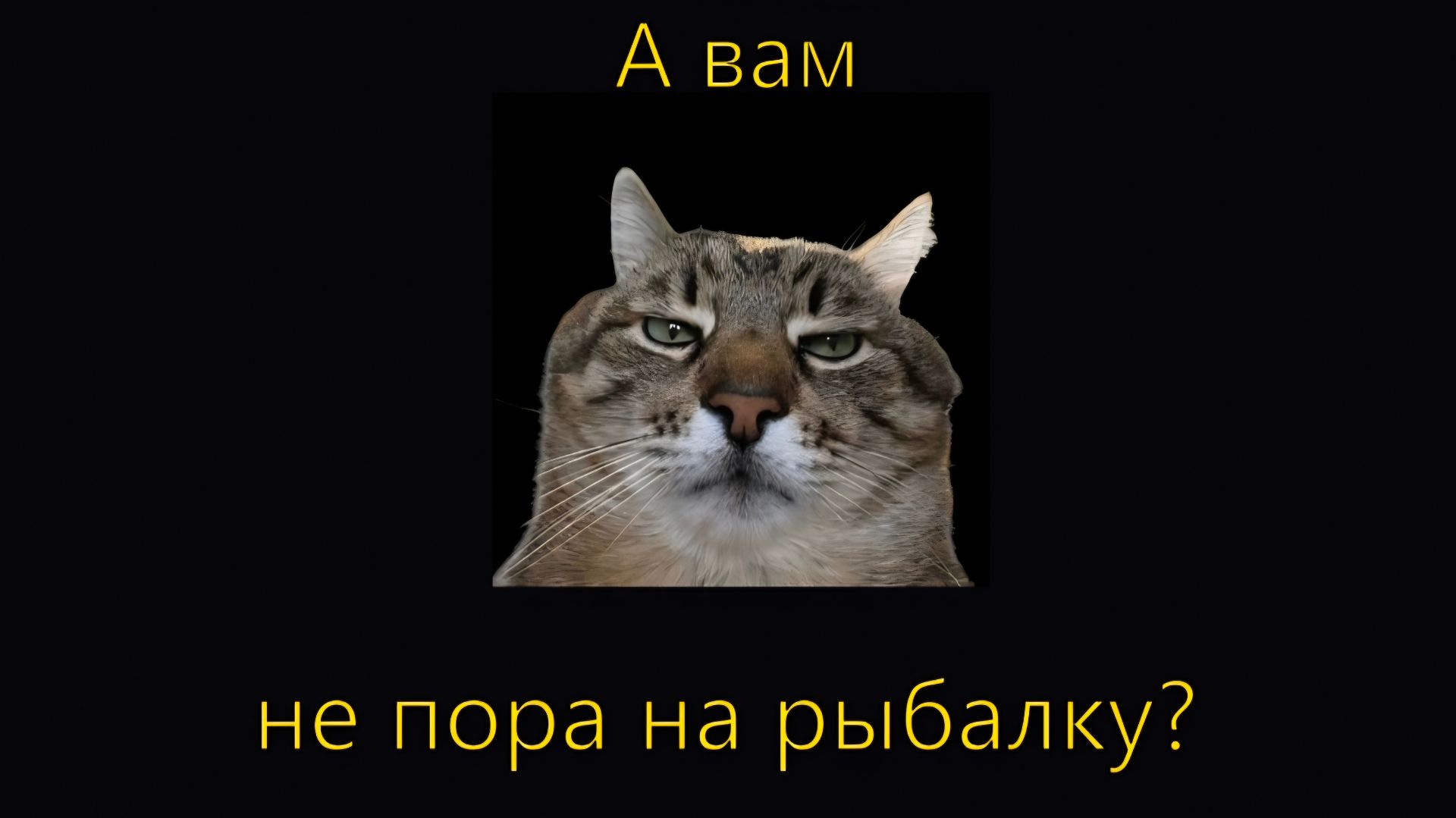Рыбалки в 2026 году.