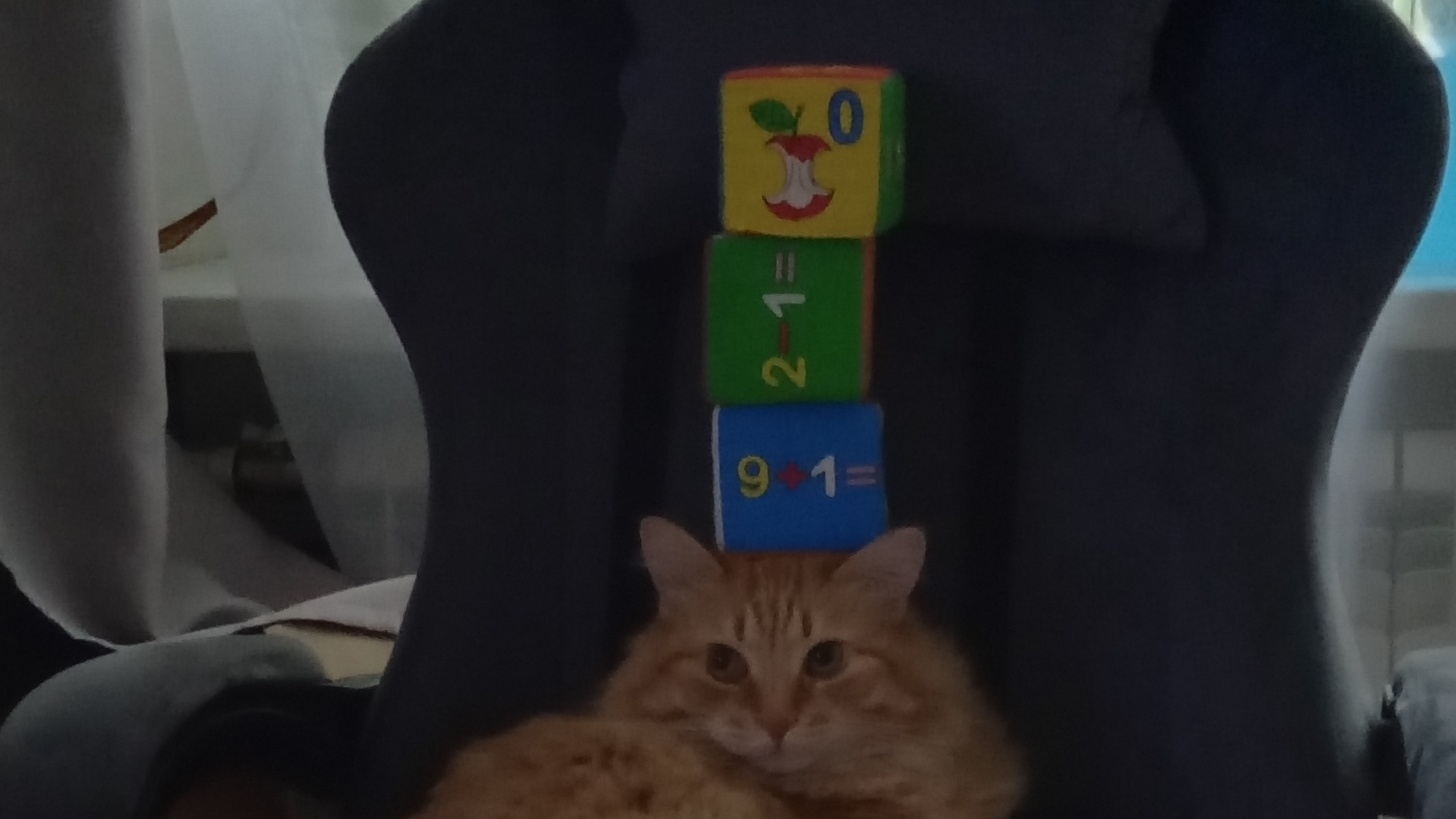 бои