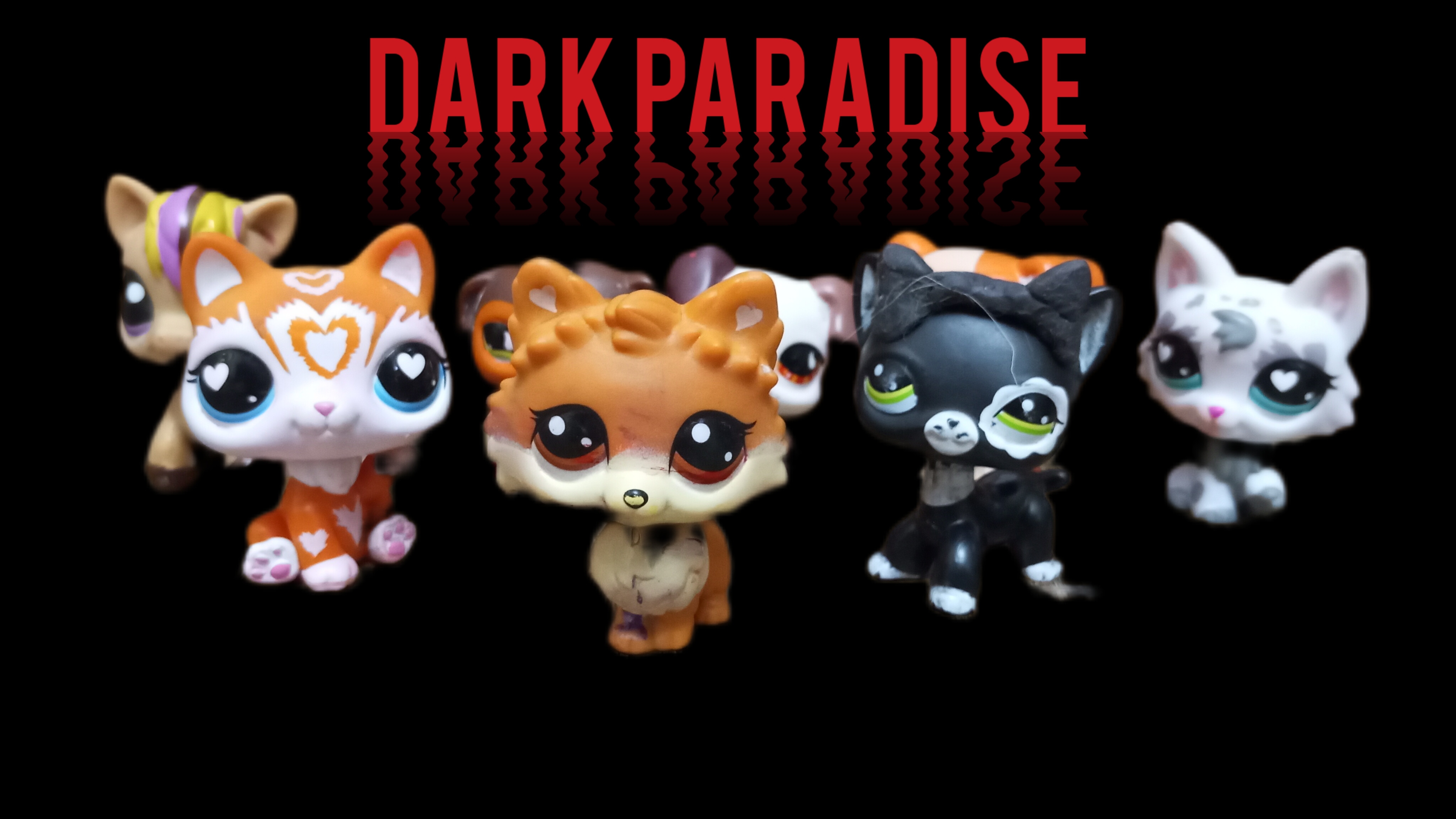 DARK PARADISE