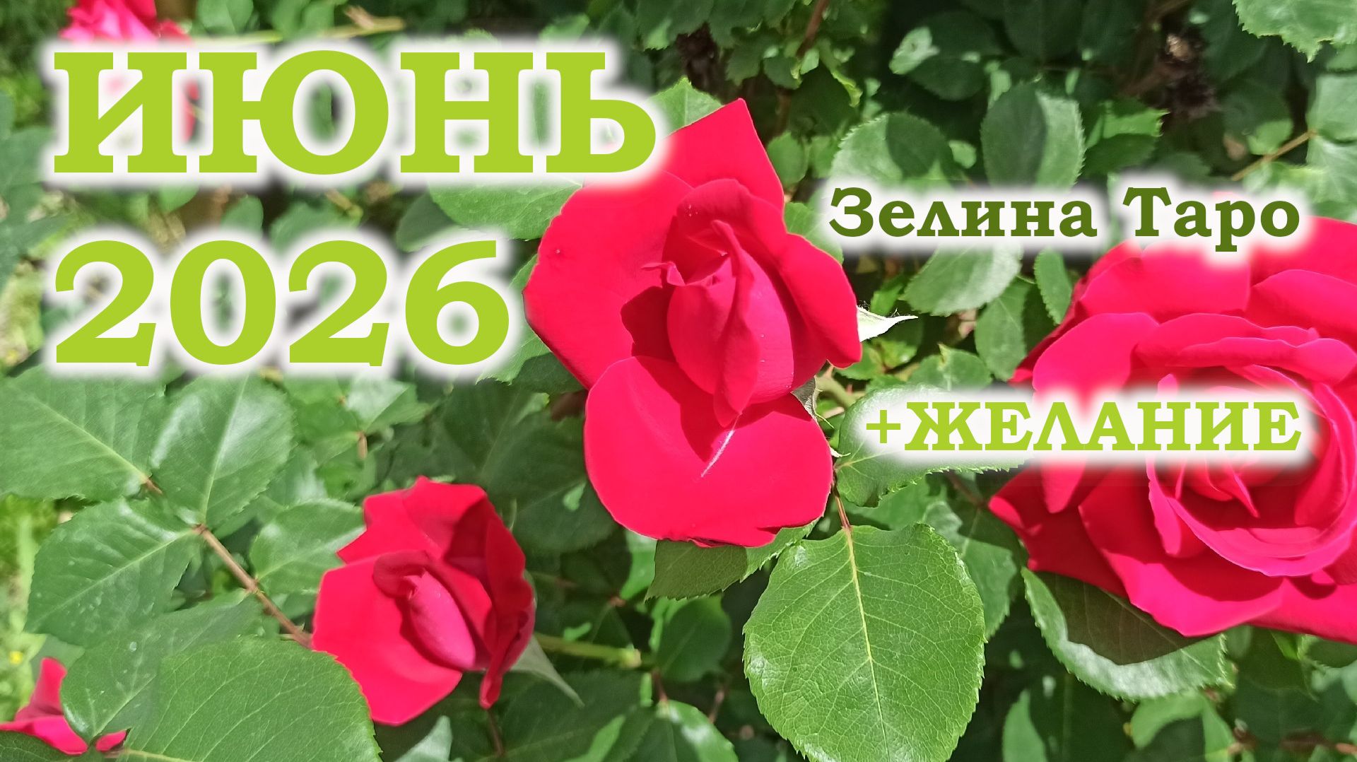 ИЮНЬ 2026
