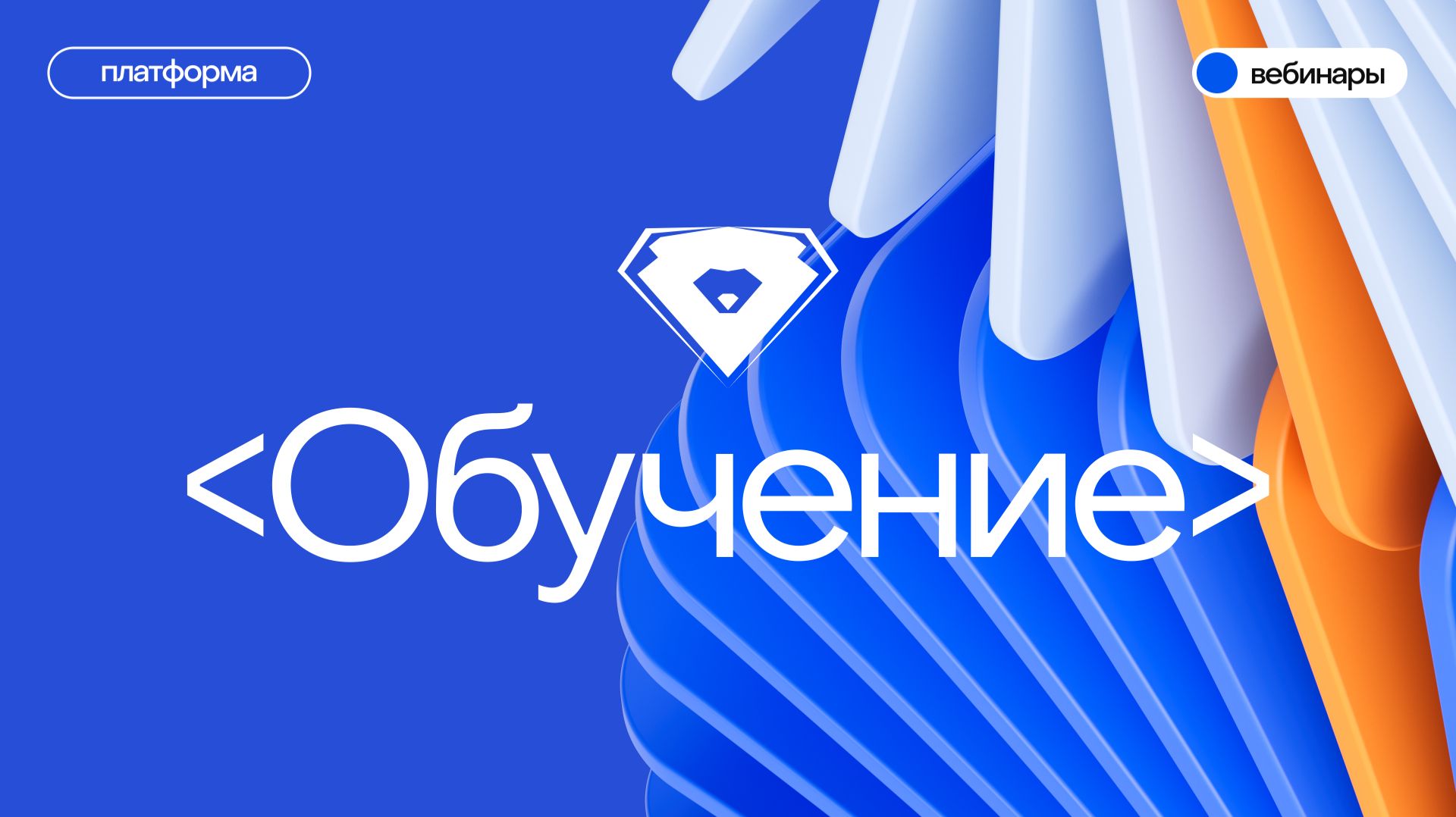 Обучение. Платформа