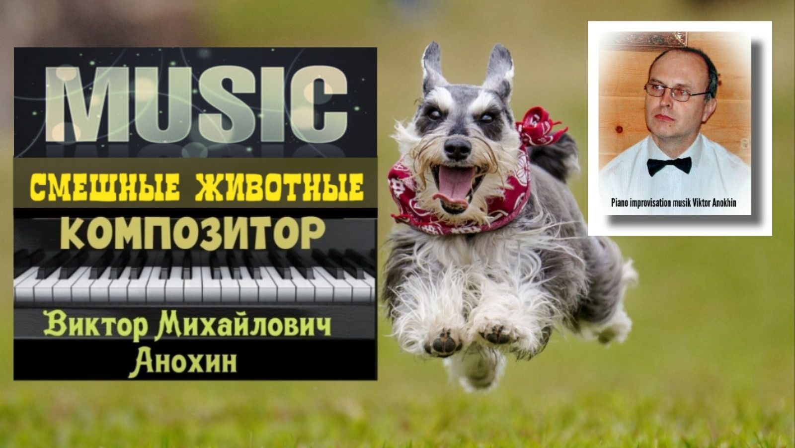 «СМЕШНЫЕ ЖИВОТНЫЕ» ИМПРОВИЗАЦИЯ ФОРТЕПИАНО КОМПОЗИТОРА ВИКТОРА МИХАЙЛОВИЧА АНОХИНА