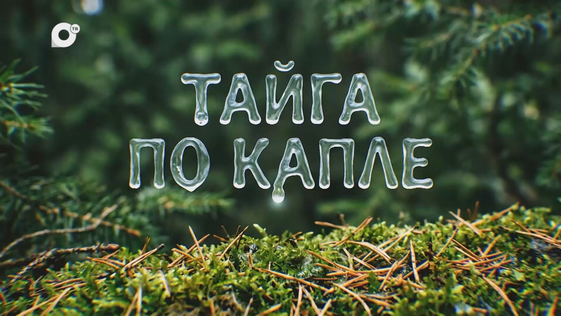 Тайга по капле