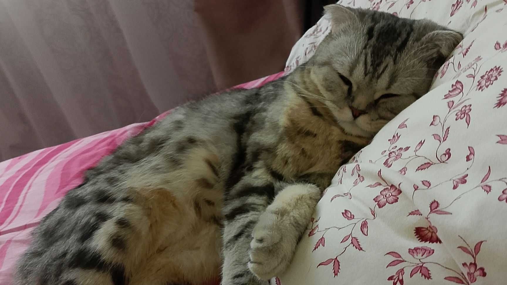 Биатрисина😻