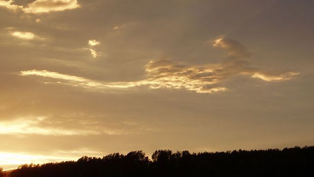 блюзовые композиции от автора