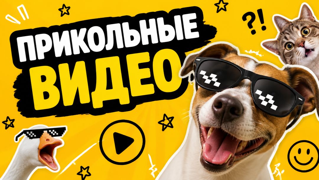 Приколы