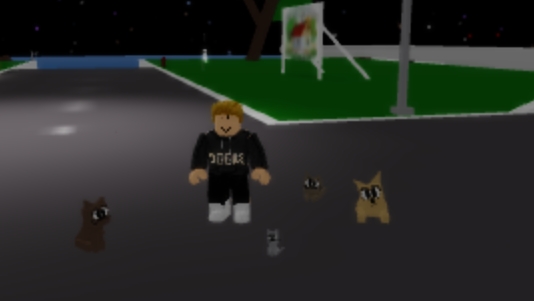Cat