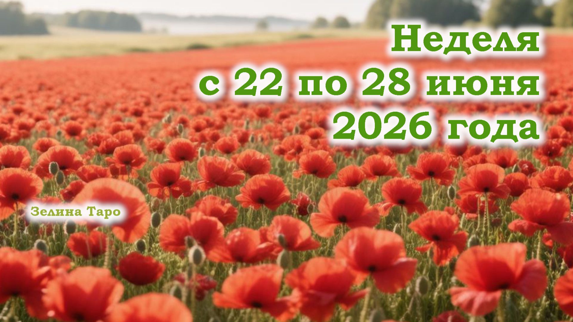 Неделя с 22 по 28 июня 2026 года