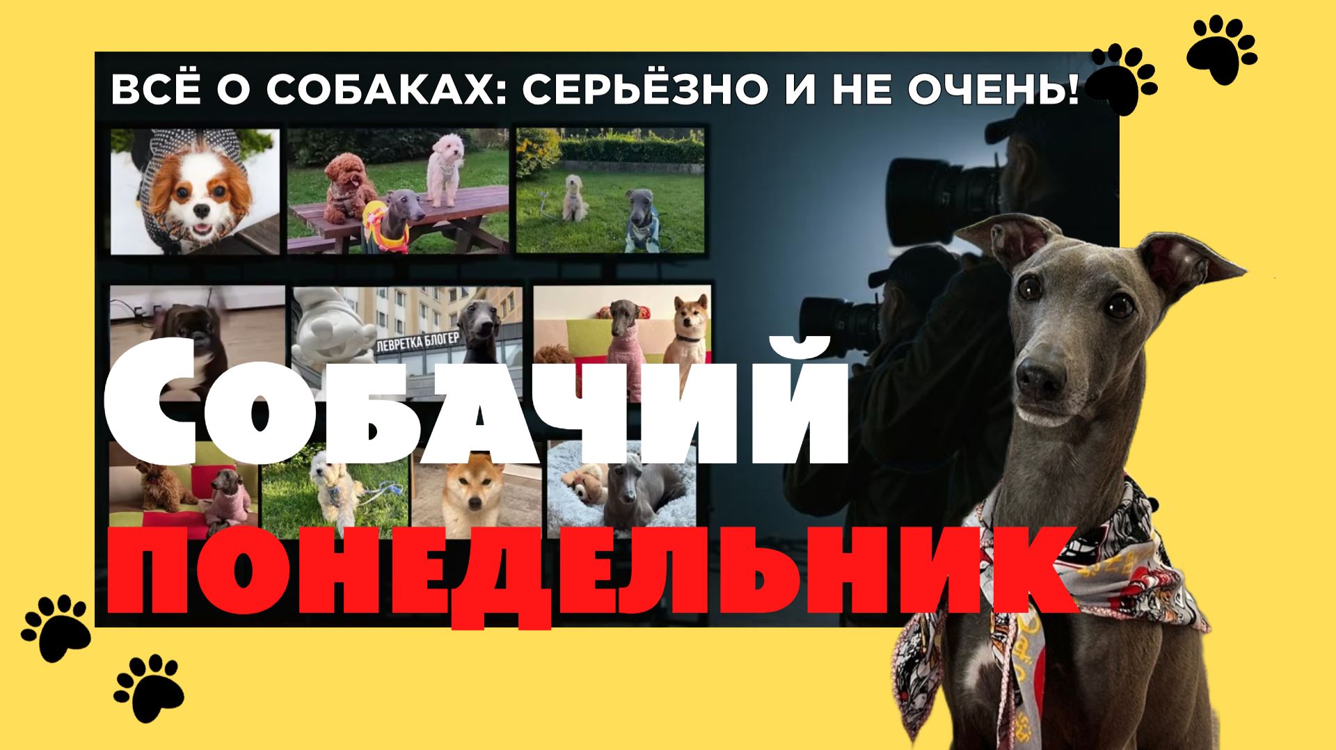 СОБАЧИЙ ПОНЕДЕЛЬНИК