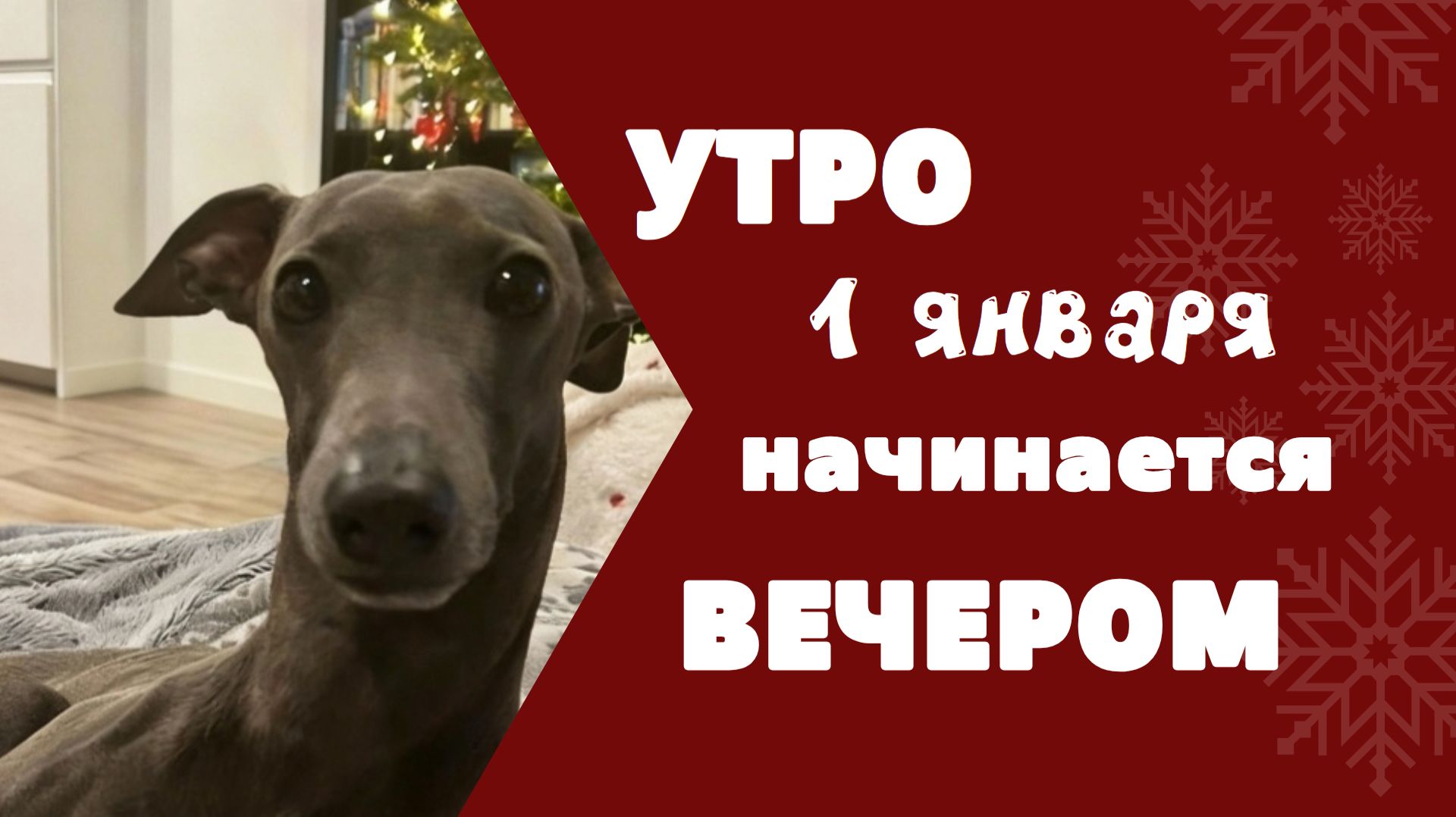 ЛЕВРЕТКА ЮМОРИТ