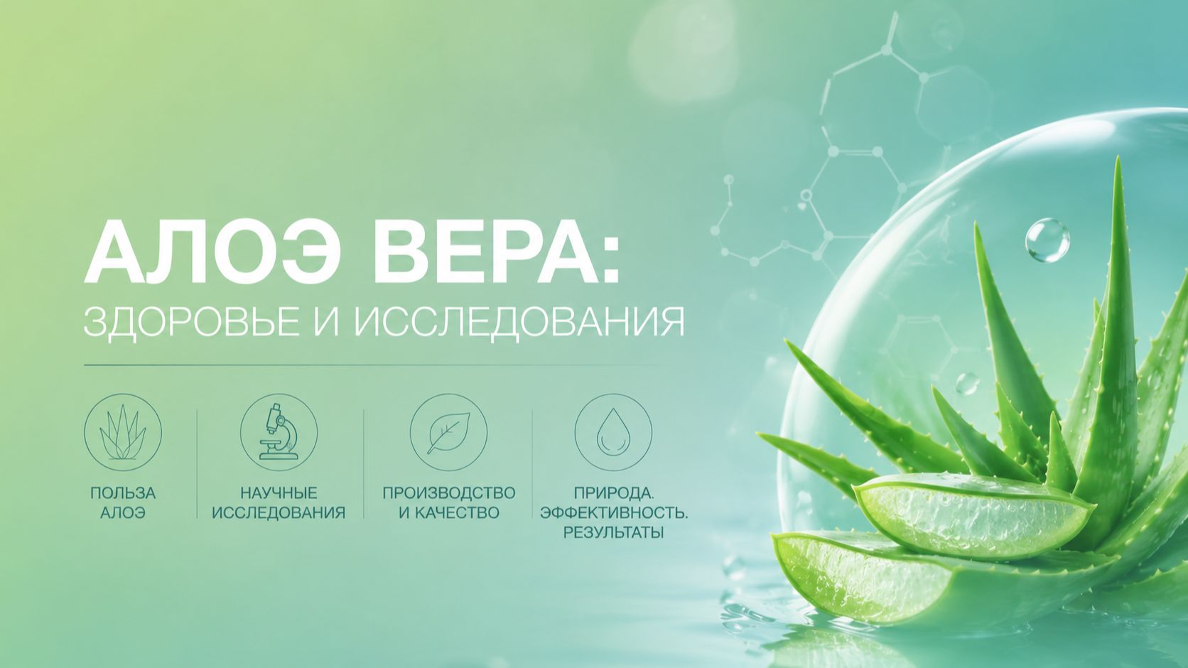 Алоэ Вера: здоровье и исследования