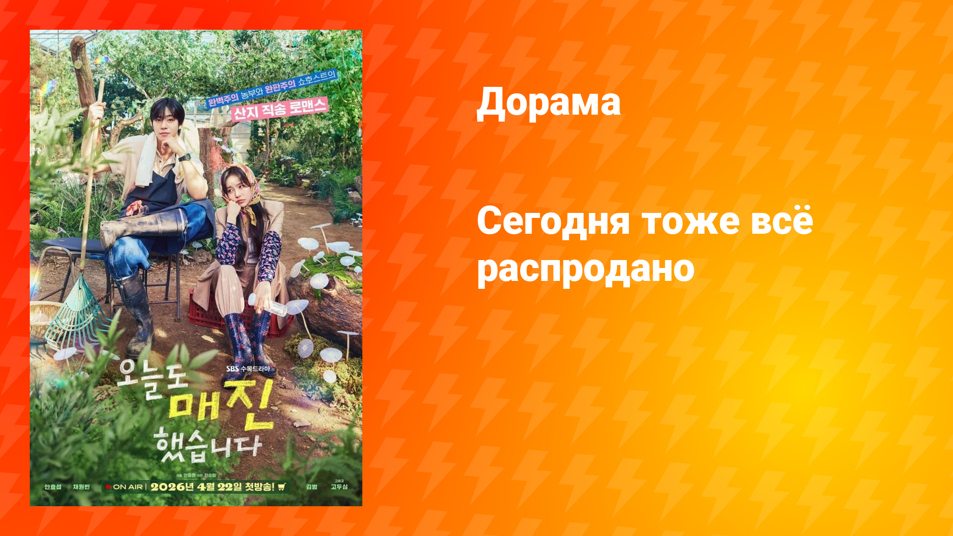 Сегодня тоже всё распродано (дорама, 2026)