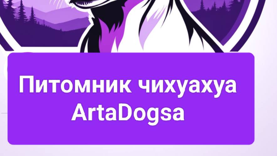 Приветики от наших выпускников