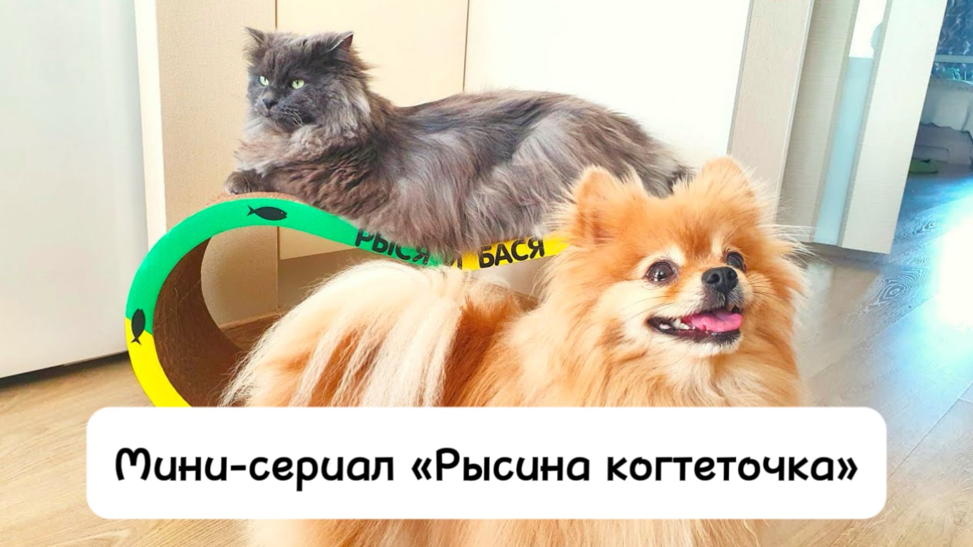 Мини-сериал ″Рысина когтеточка″
