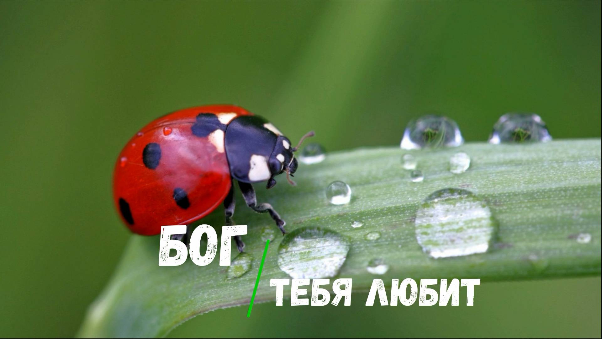 Мотивирующие и Настраивающие Стихи.
