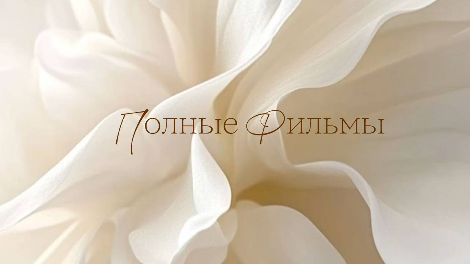 СВАДЕБНЫЕ ФИЛЬМЫ