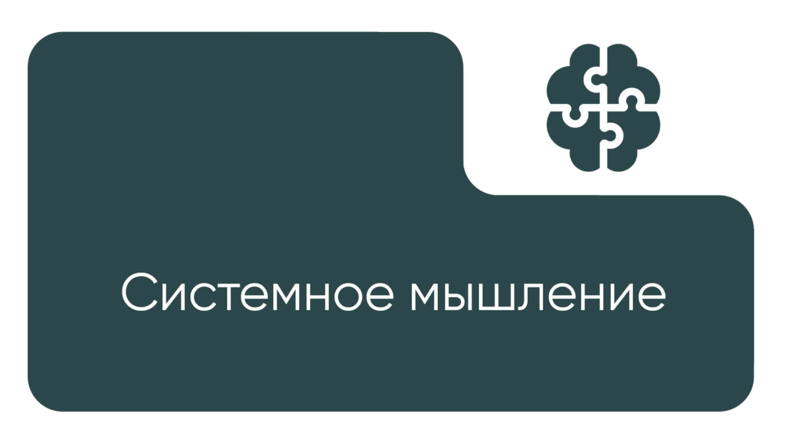 ОТ ХАОСА К СИСТЕМЕ В ЖИЗНИ И БИЗНЕСЕ