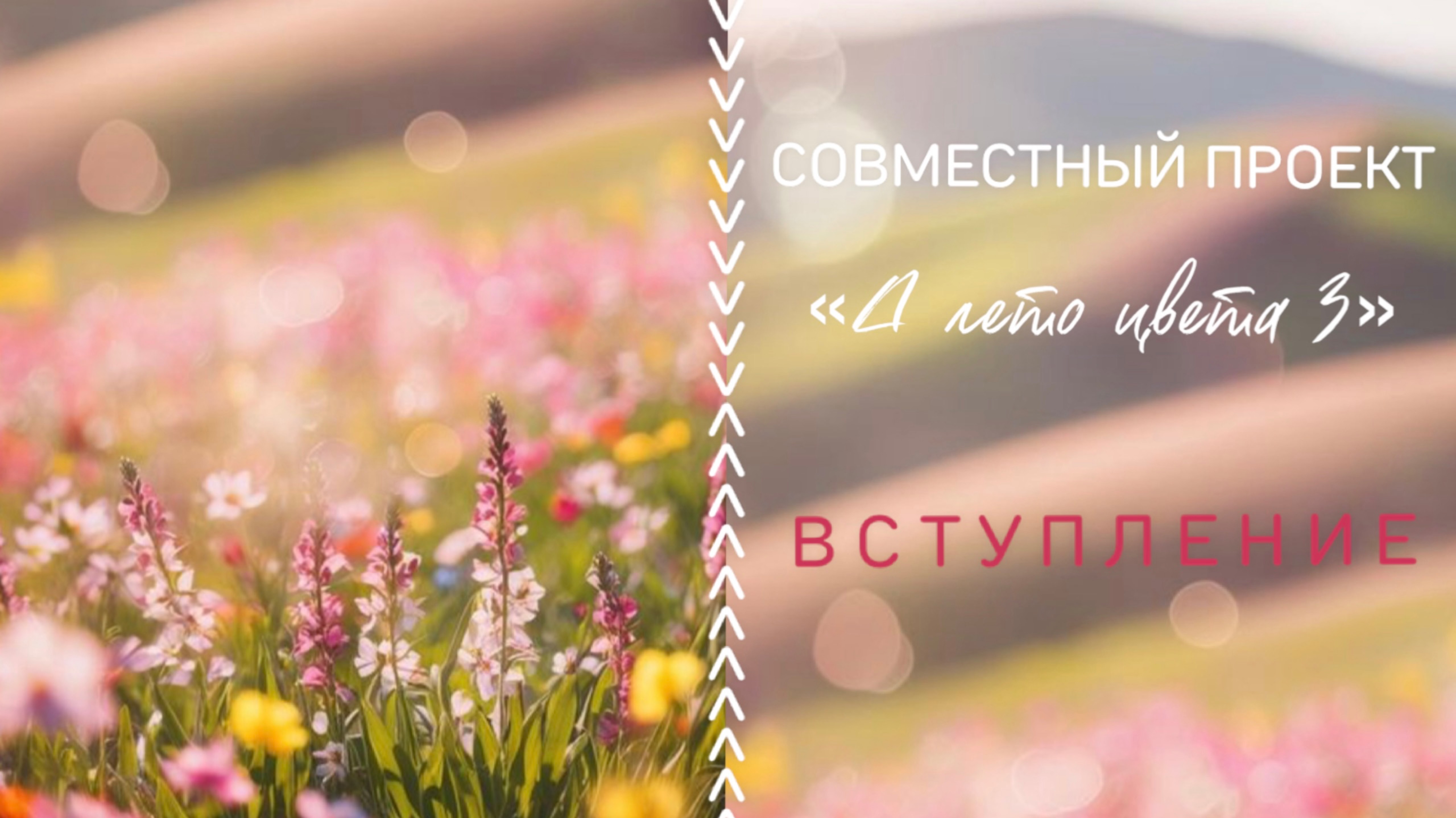 СП «А лето цвета 3»
