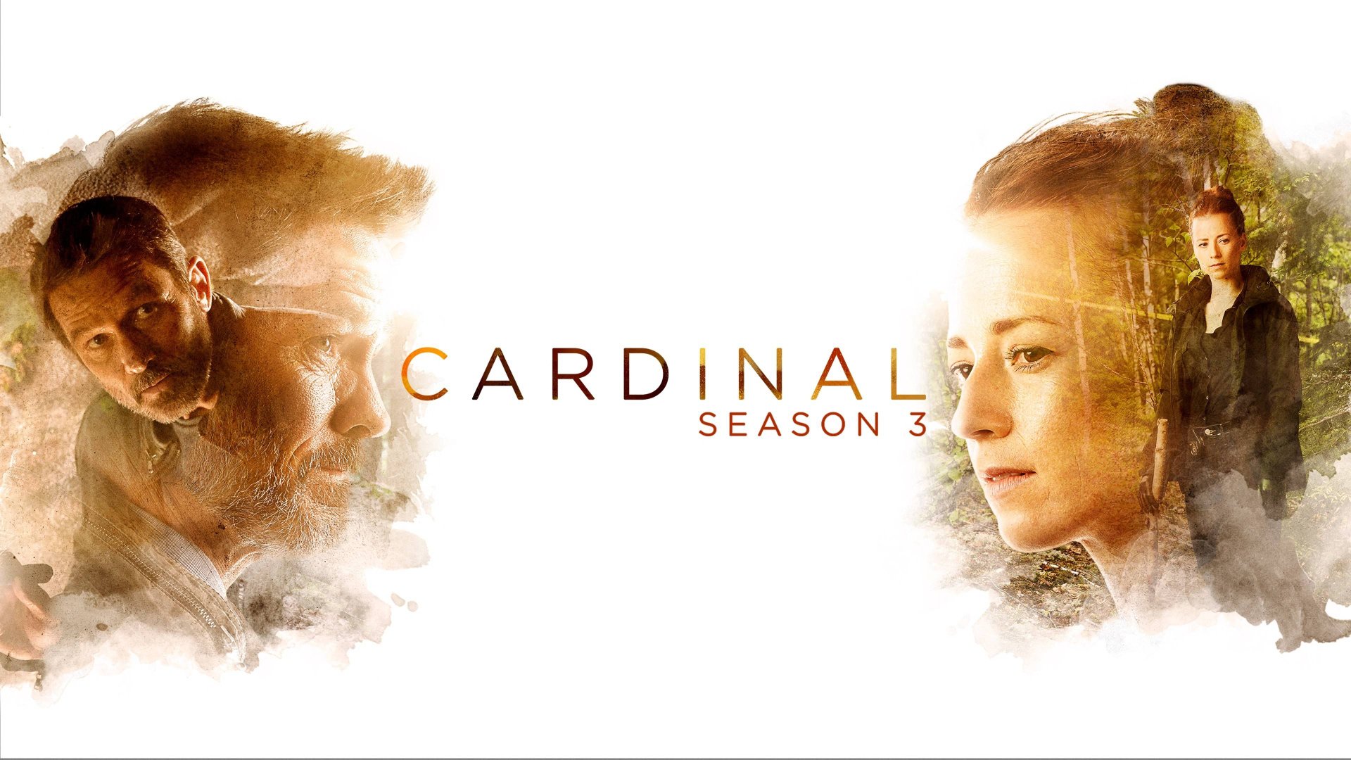Сериал Кардинал - 3 сезон / Cardinal