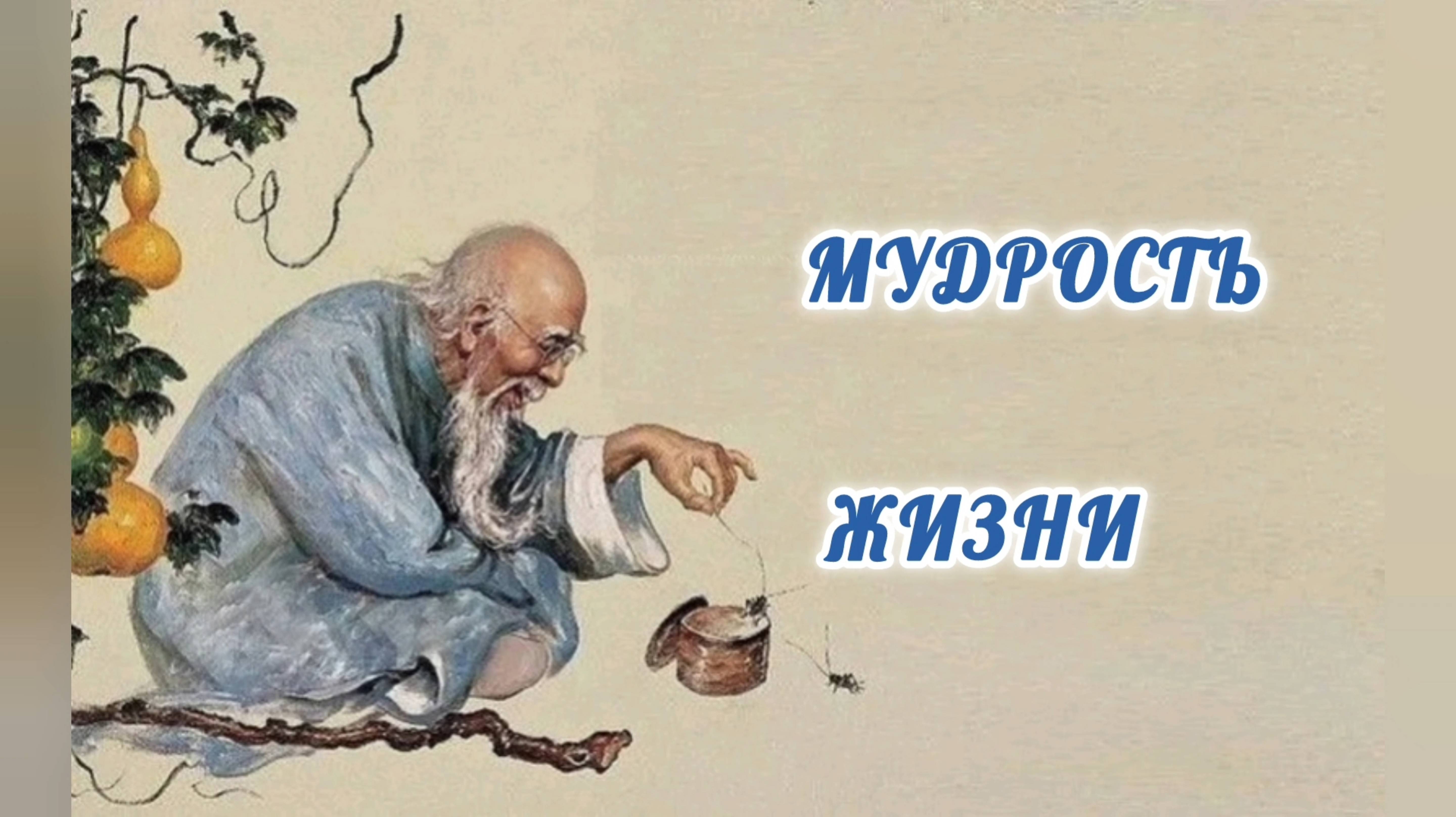 МУДРОСТЬ ЖИЗНИ.