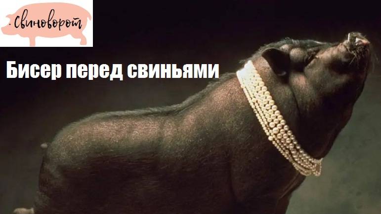 Бисер перед свиньями (Margaritas Ante Porcos) 2021