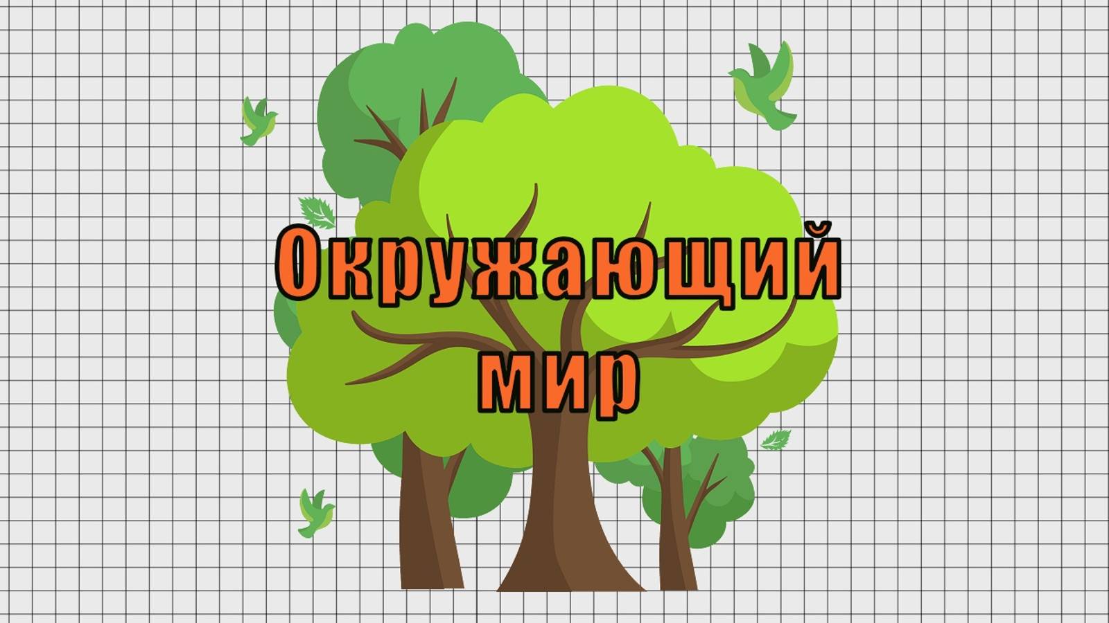 Окружающий мир