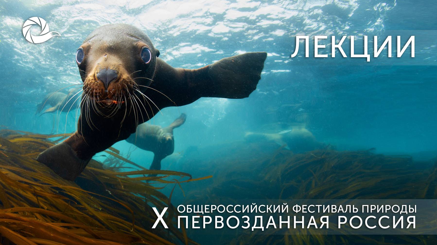 Лекции X Фестиваля