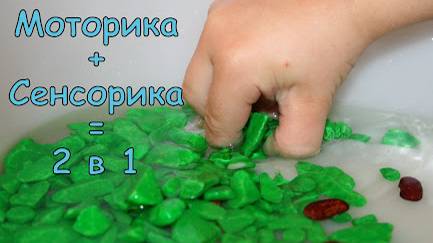 МОТОРИКА и СЕНСОРИКА