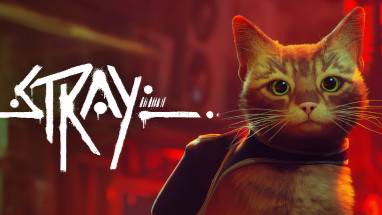Stray