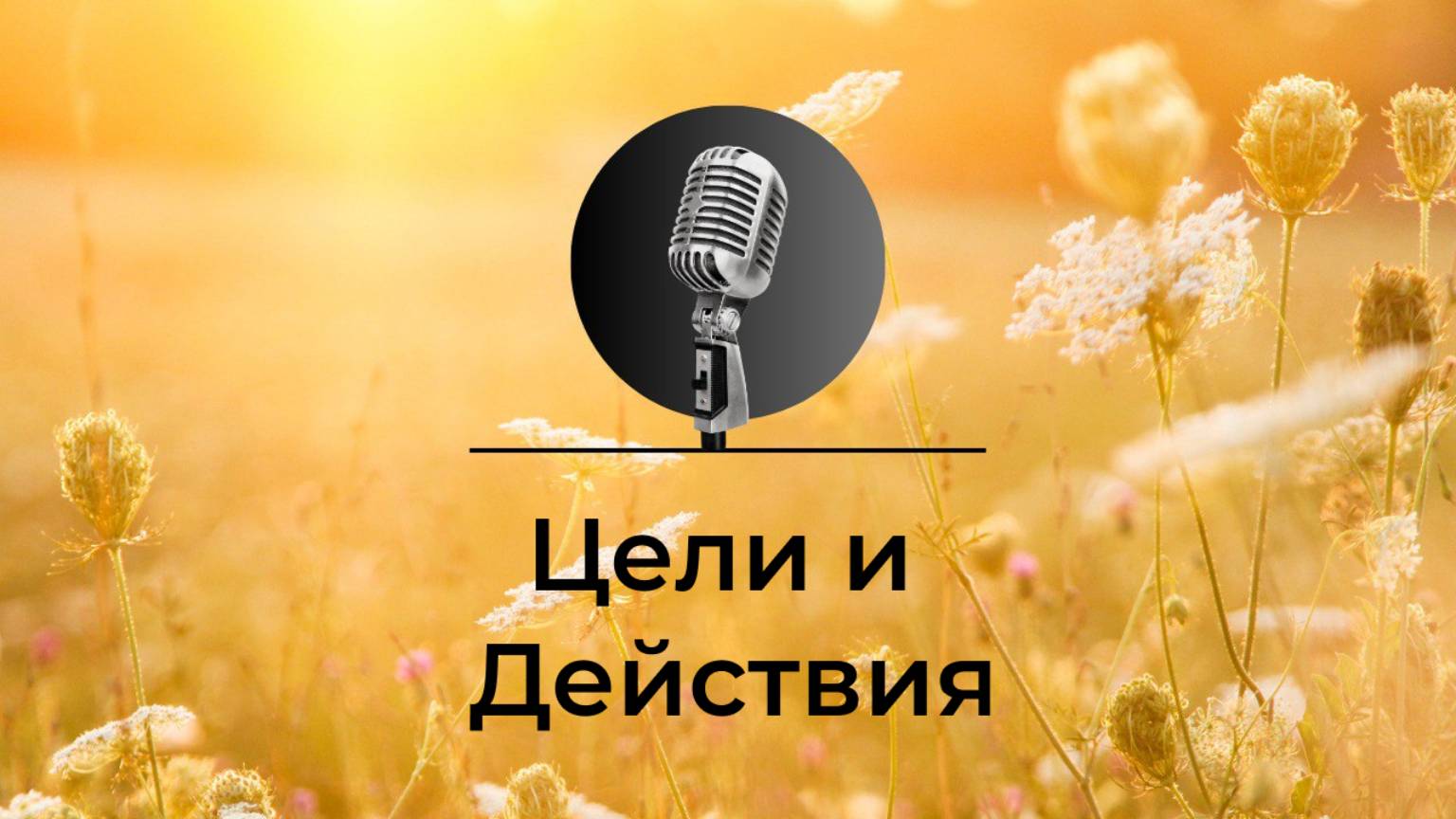 Цели и Действия