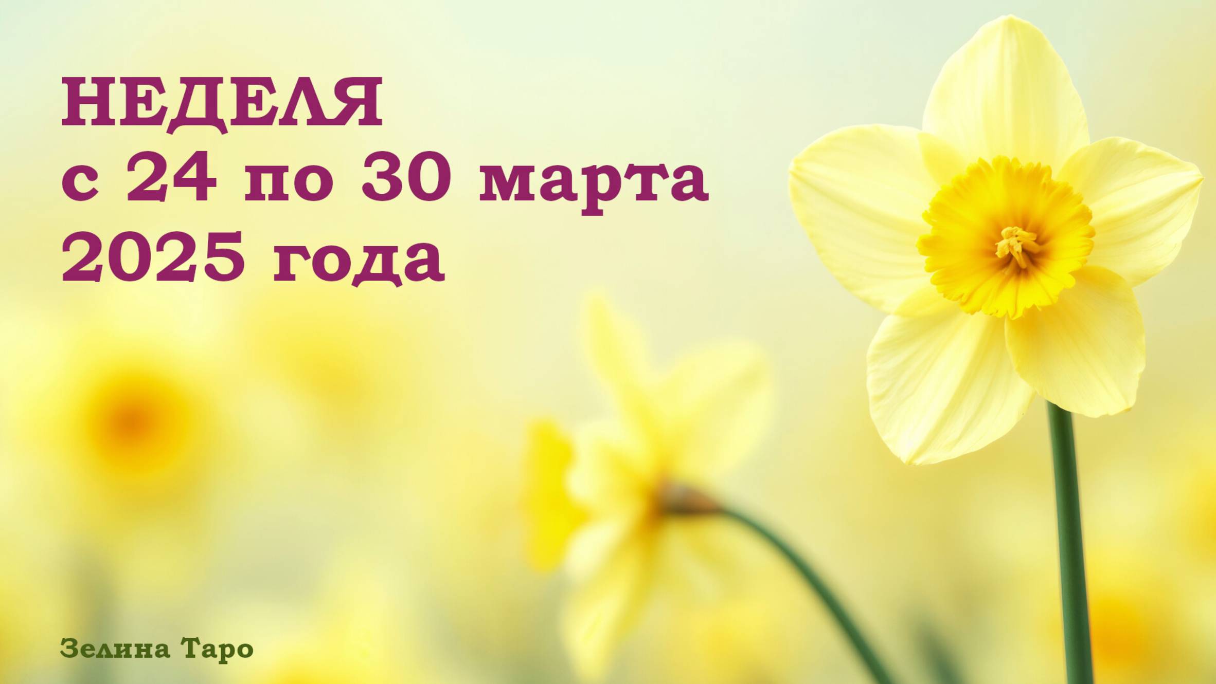 Неделя с 24 по 30 марта 2025 года
