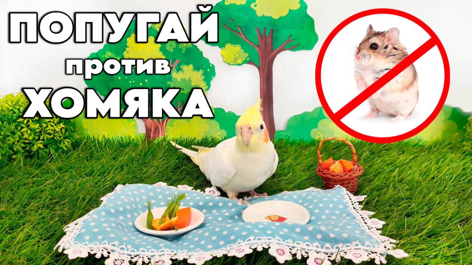 Сериал ″Попугай против хомяка″