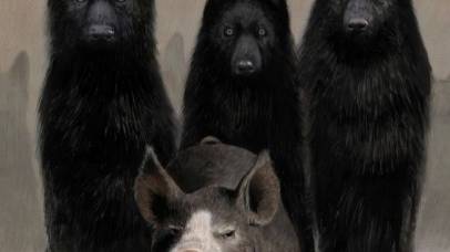 Друг-свинья (Ami Cochon) 2021