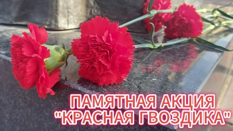 Акция ″Красная гвоздика″