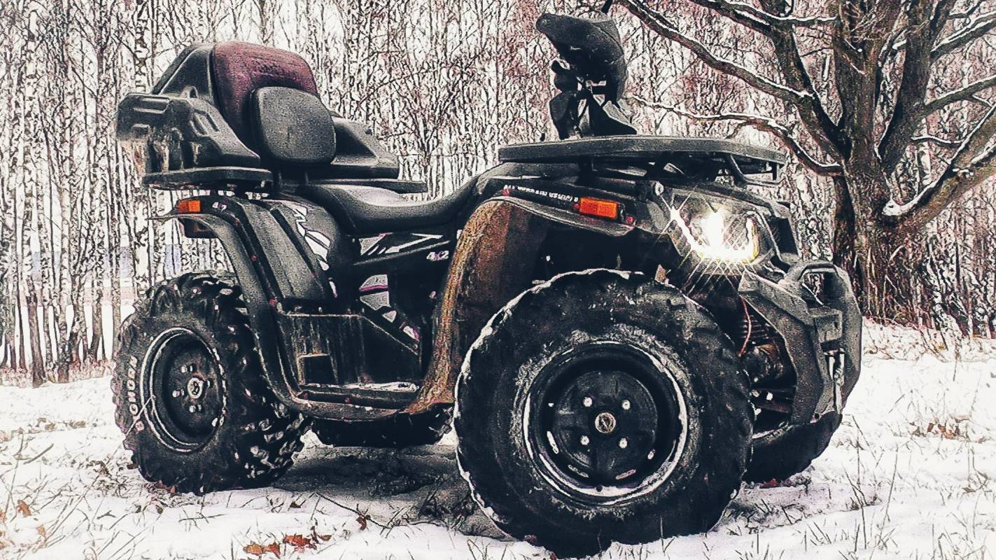 AVANTIS HUNTER BIG
