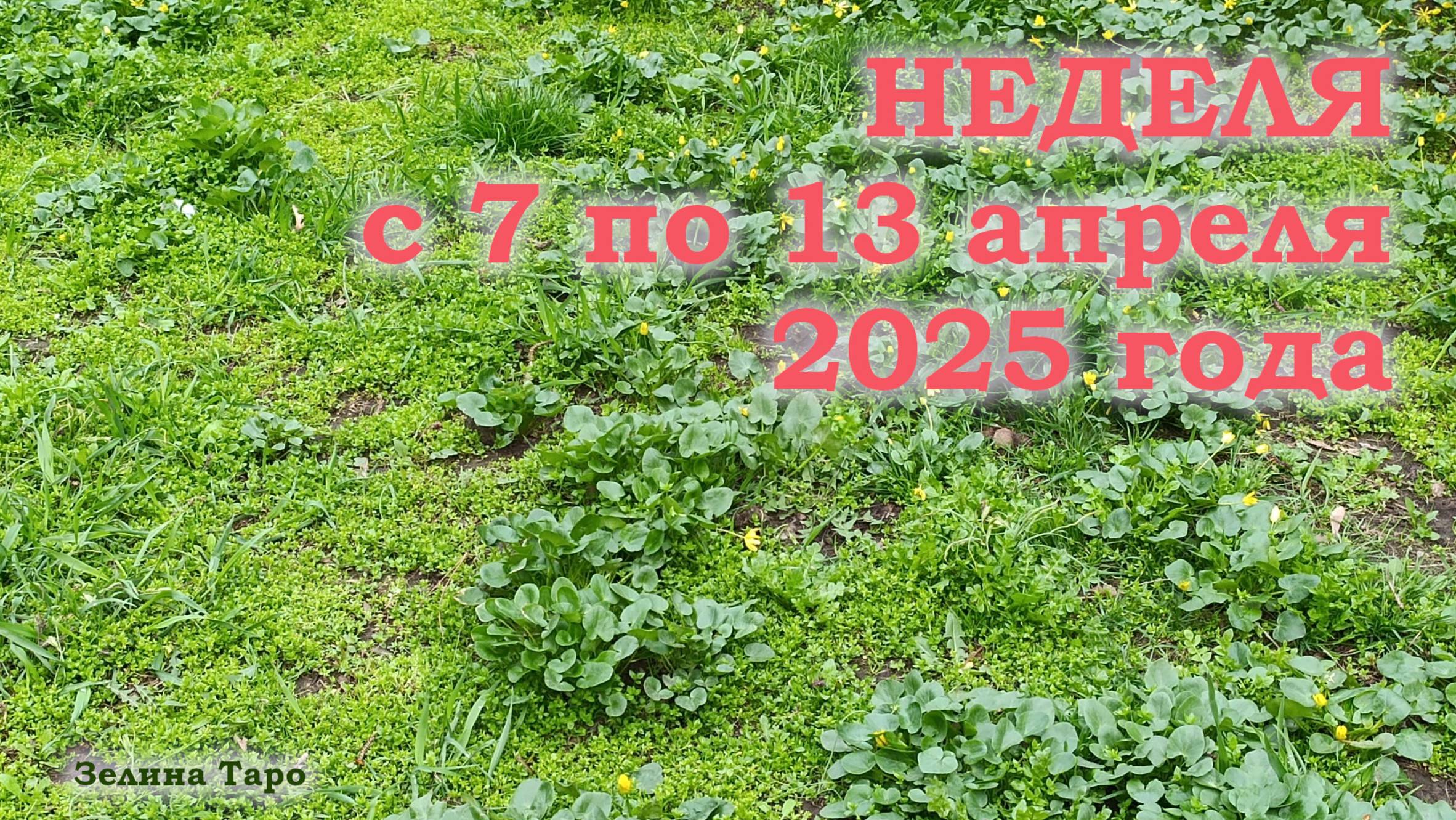 Неделя с 7 по 13 апреля 2025 года