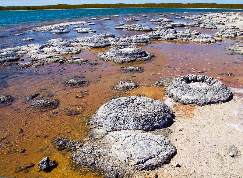 Геологическая история Земли