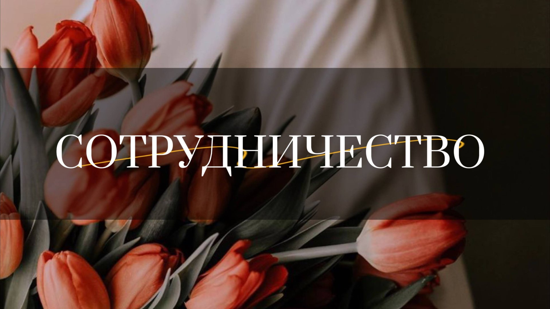 Сотрудничество