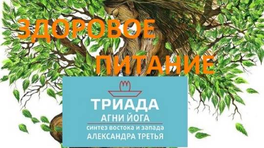 РЕЦЕПТЫ ЗДОРОВОГО ПИТАНИЯ