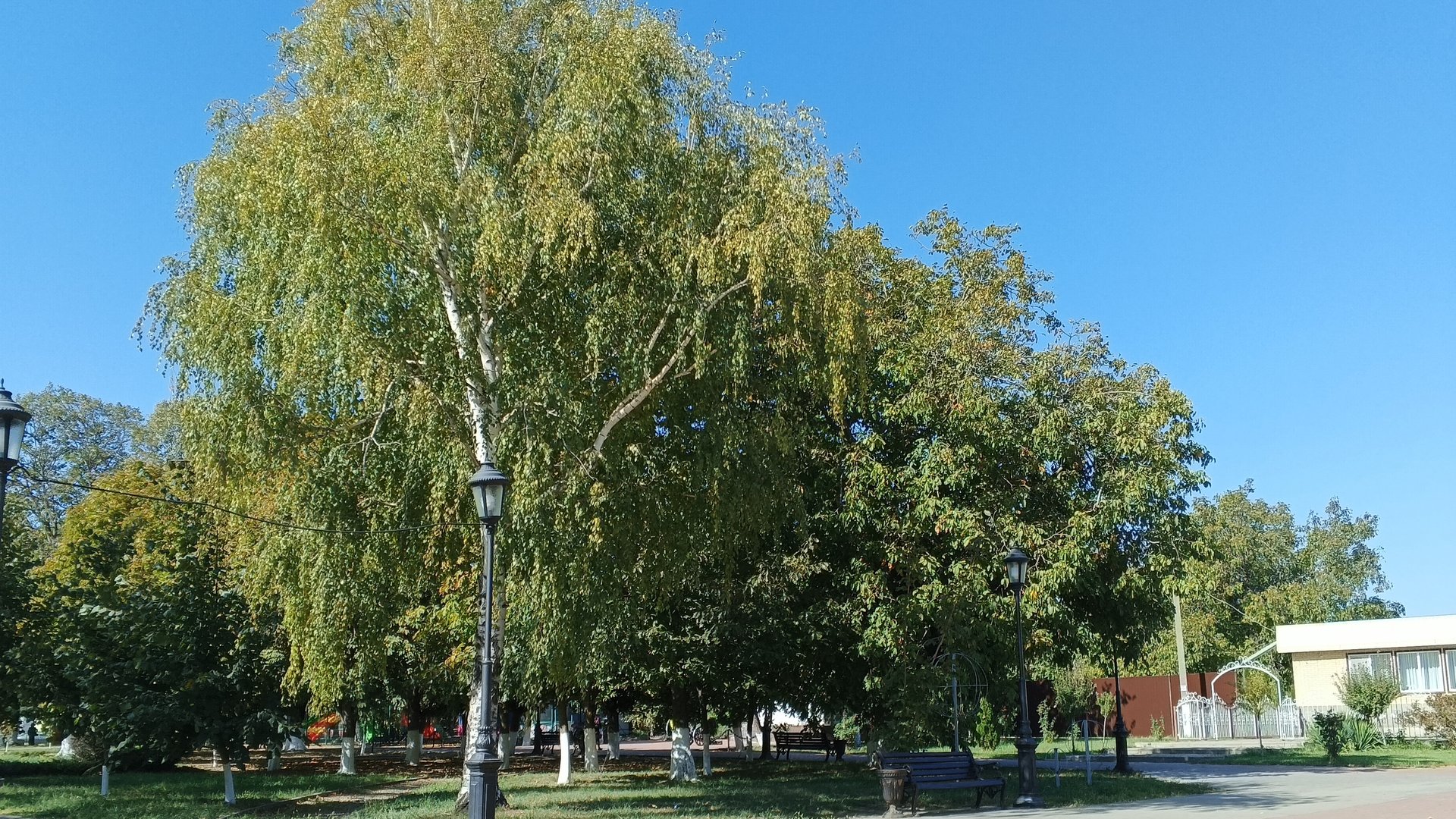 ПЛАНЕТА ЖИЗНИ