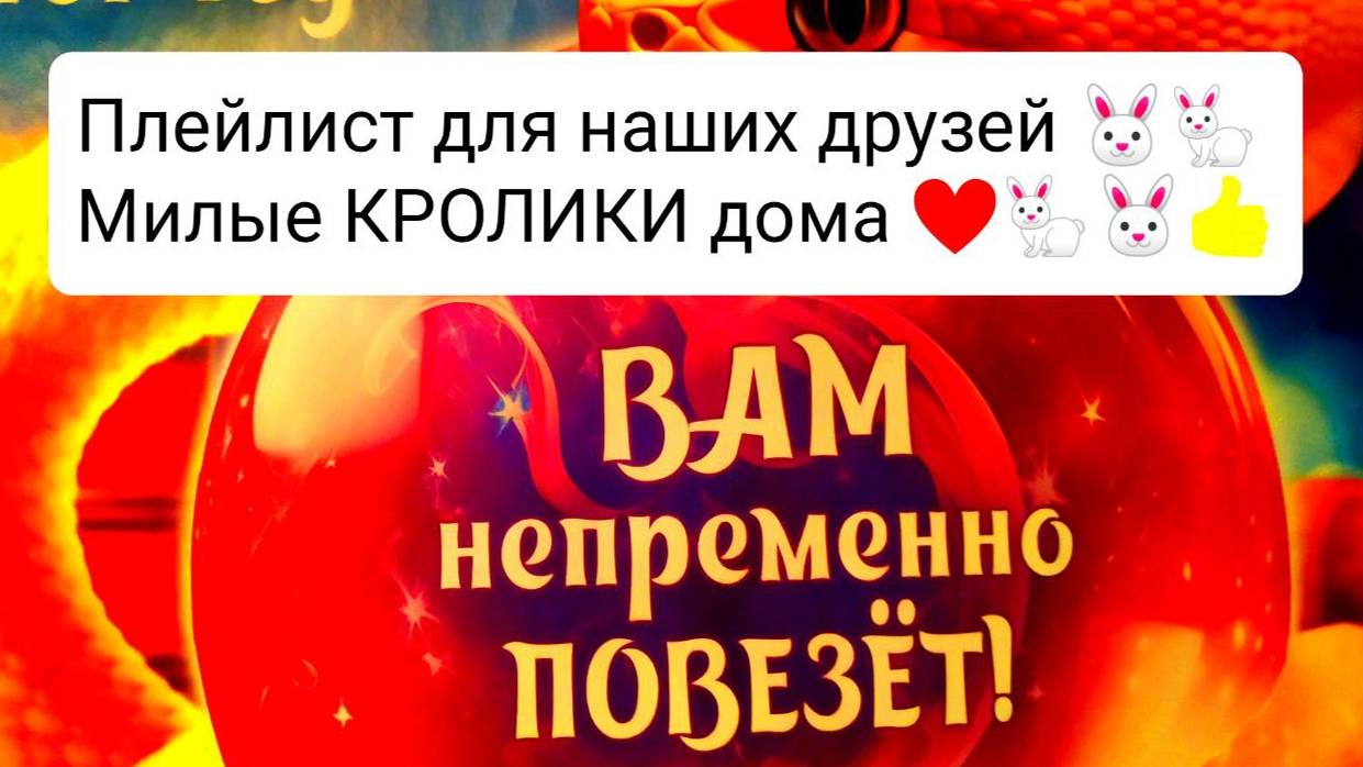 Смотрите МИЛЫХ КРОЛИКОВ и вам ПОВЕЗЕТ