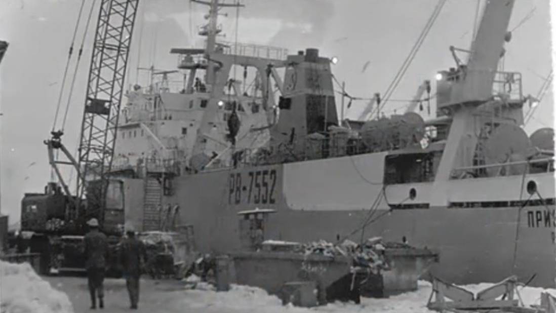Траулеры, рефрижераторы.