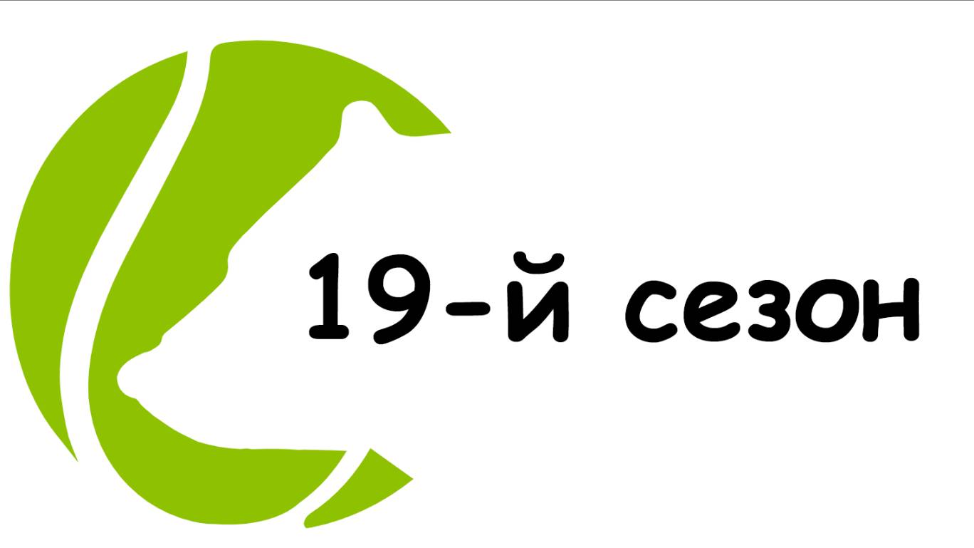 19 сезон