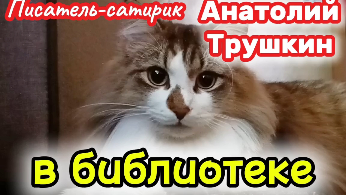 ЮМОР. Монологи сатириков, юмористов.